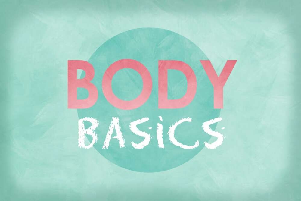 Body Basics by Noelle Smith — BFA Communication Design @ Parsons School ...